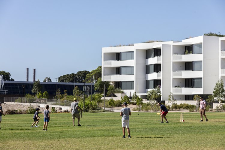 Harold Park, Sydney | JMD design Landscape Architects