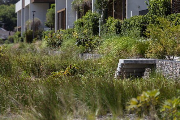 Harold Park, Sydney | JMD design Landscape Architects