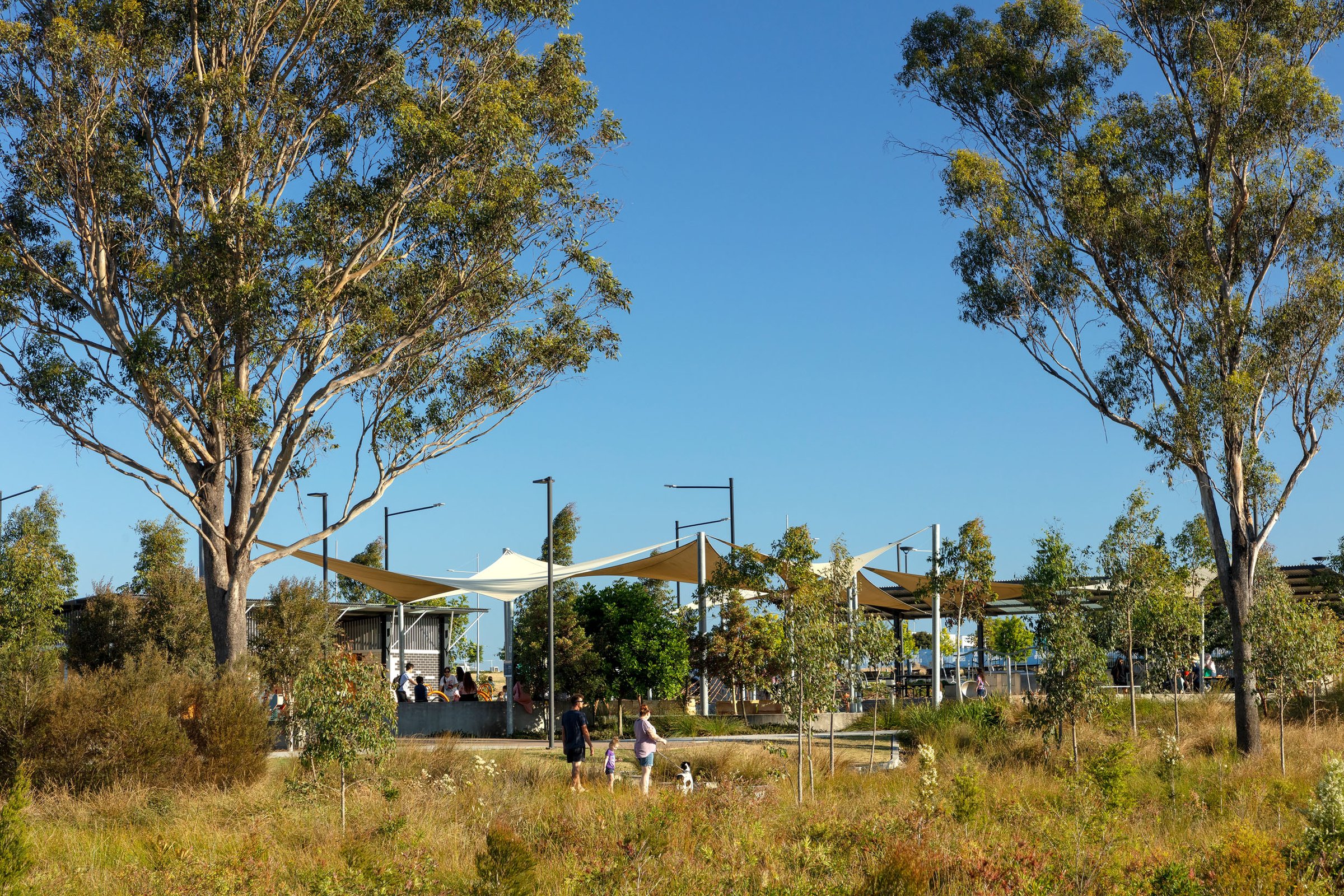 Dawson Damer Park | JMD design® Landscape Architects