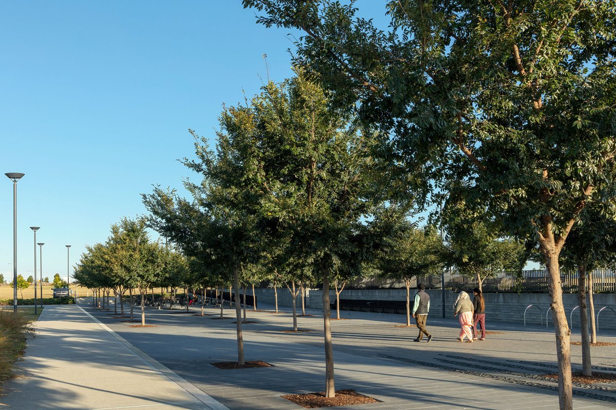 Dawson Damer Park | JMD design Landscape Architects
