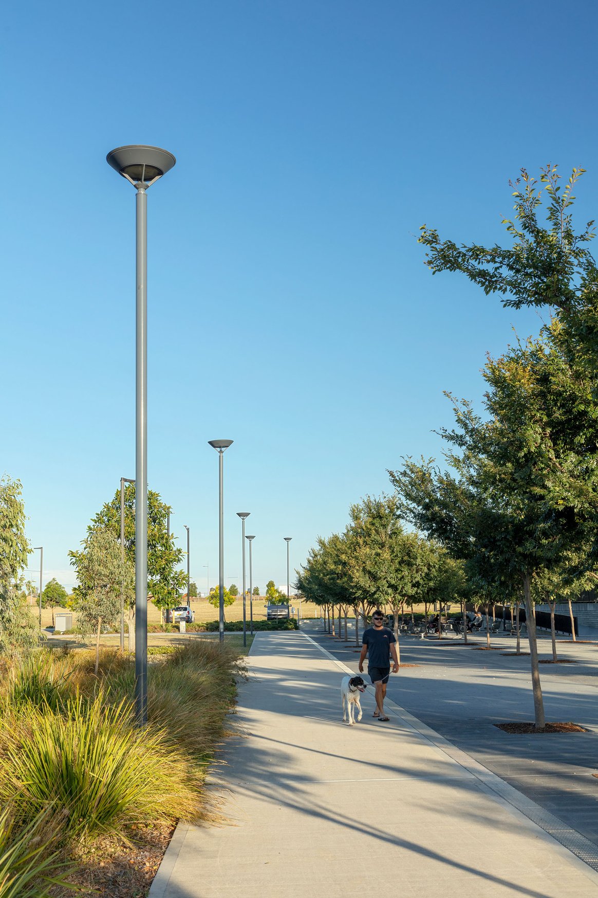 Dawson Damer Park | JMD design® Landscape Architects
